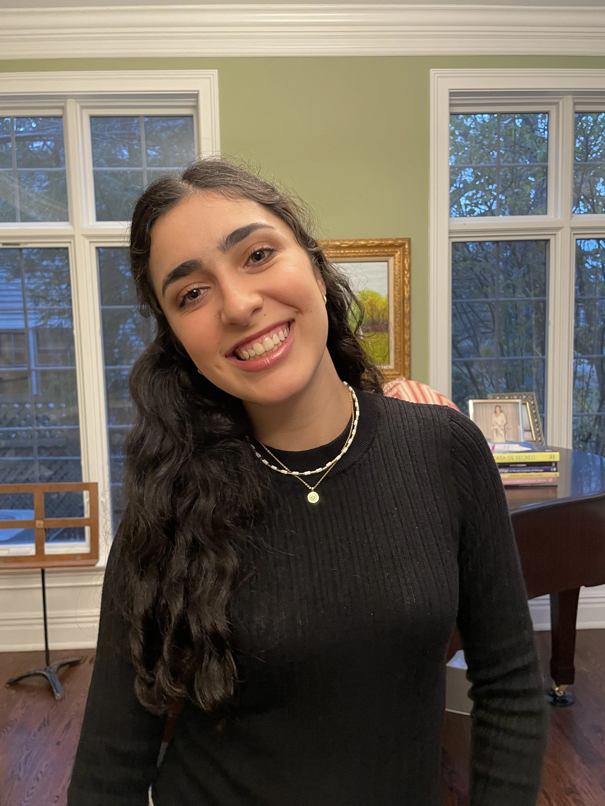 About — Chicago Area Undergraduate Research Symposium