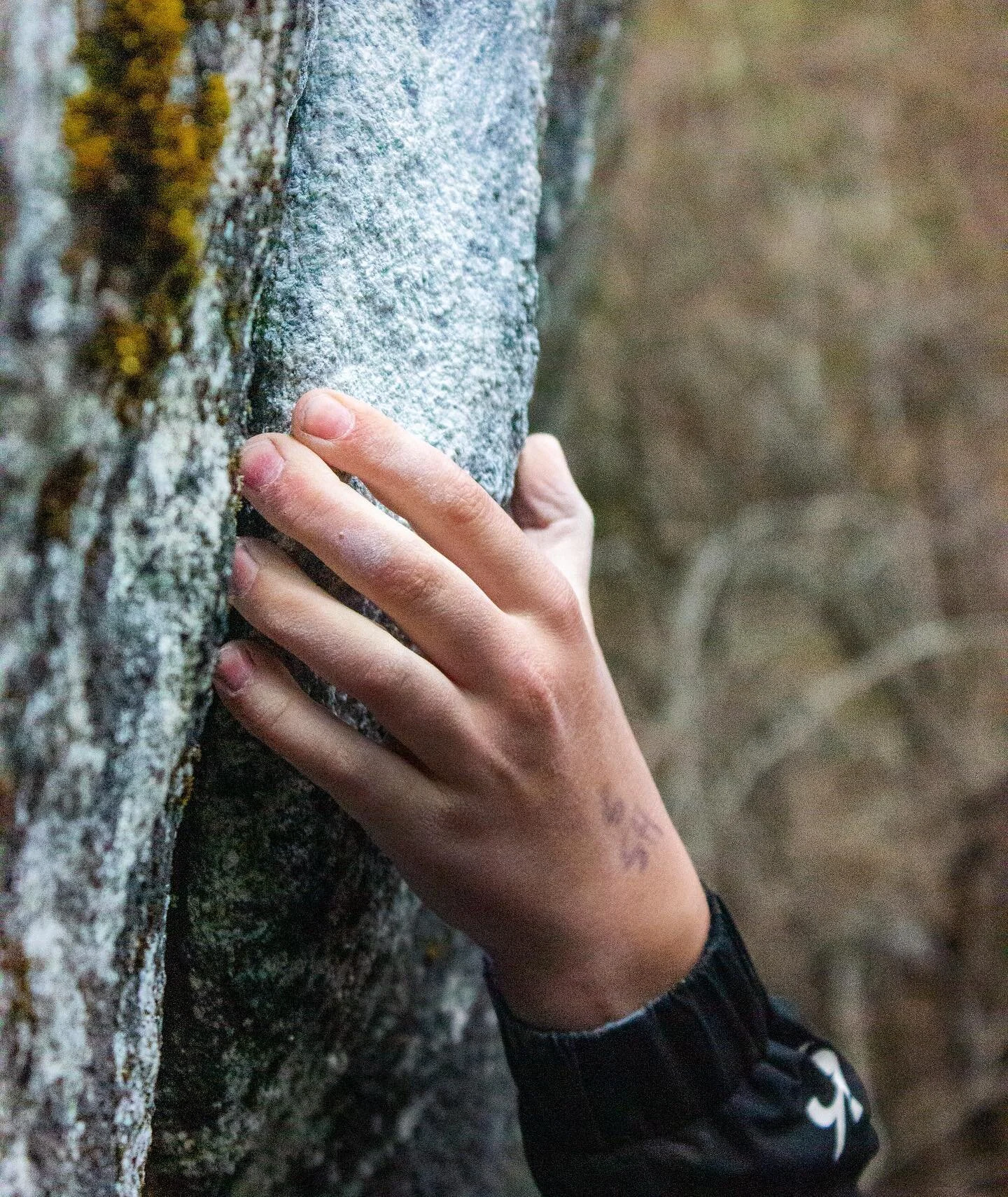 Taylor Kiley- Boise Climbing Team