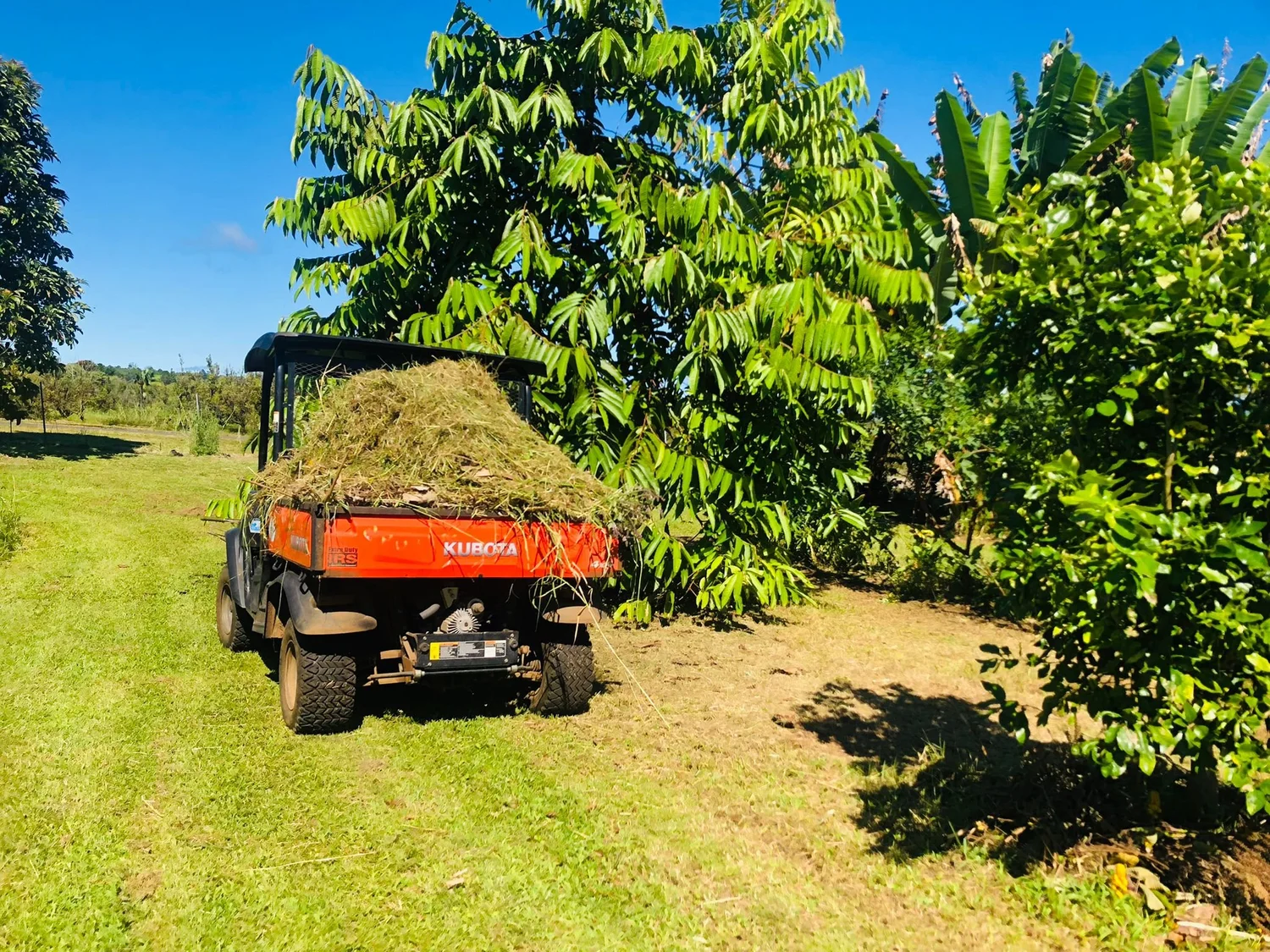 Farm Tours in Hilo, Hawaii — Kulaniapia Falls