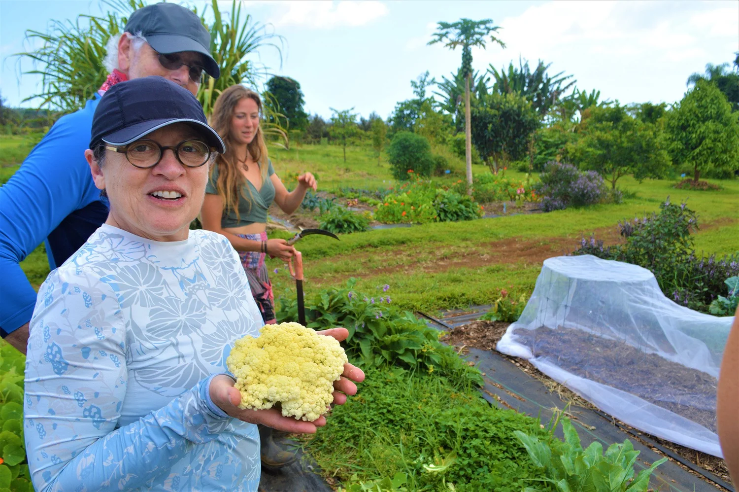 Farm Tours in Hilo, Hawaii — Kulaniapia Falls