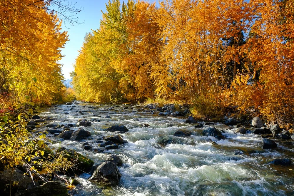 Fall Color Road Trip in Washington State — Gemini Connect