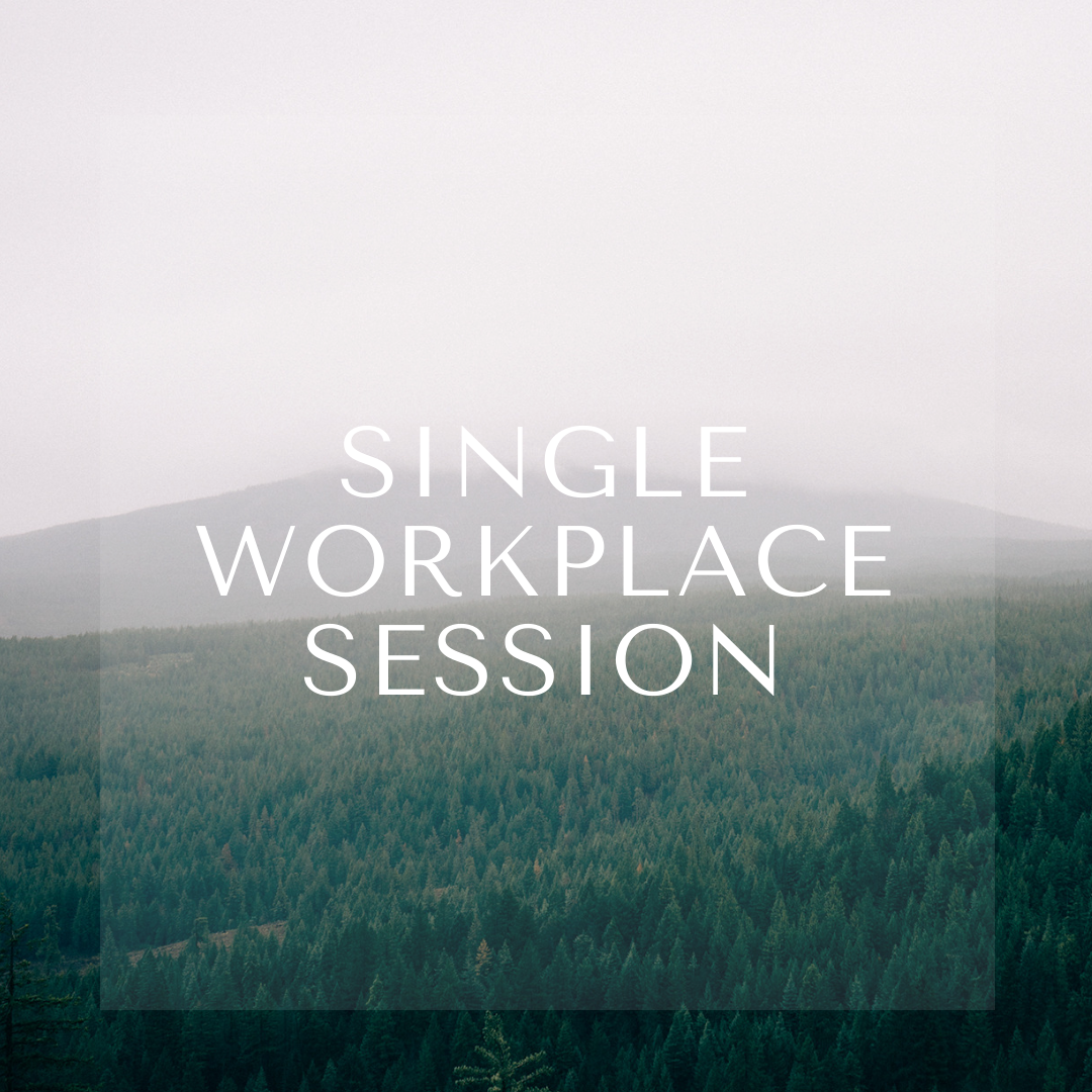 Single Custom Meditation Session — NATALIE MATIAS