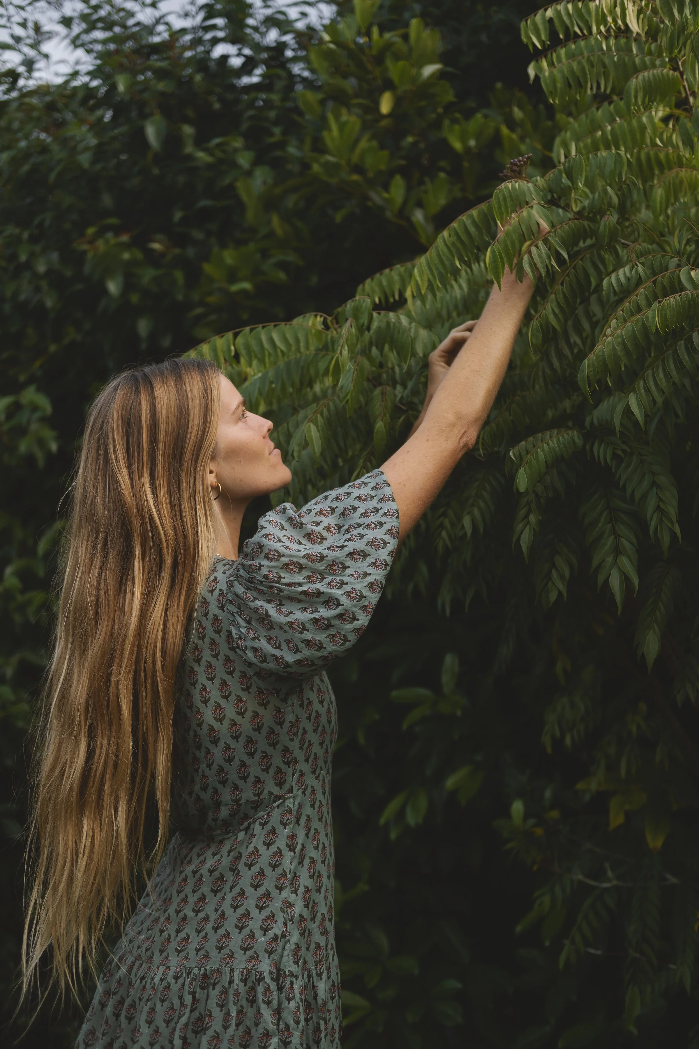 Ahara Rasa ~ Ayurvedic Nutrition & Cooking