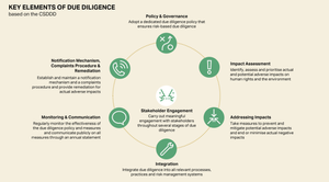CSDDD After the Omnibus: What Still Matters for Companies Now — focusright