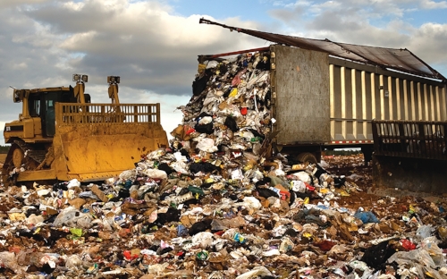 GREENING OF THE GREENBACK — Tom BIble