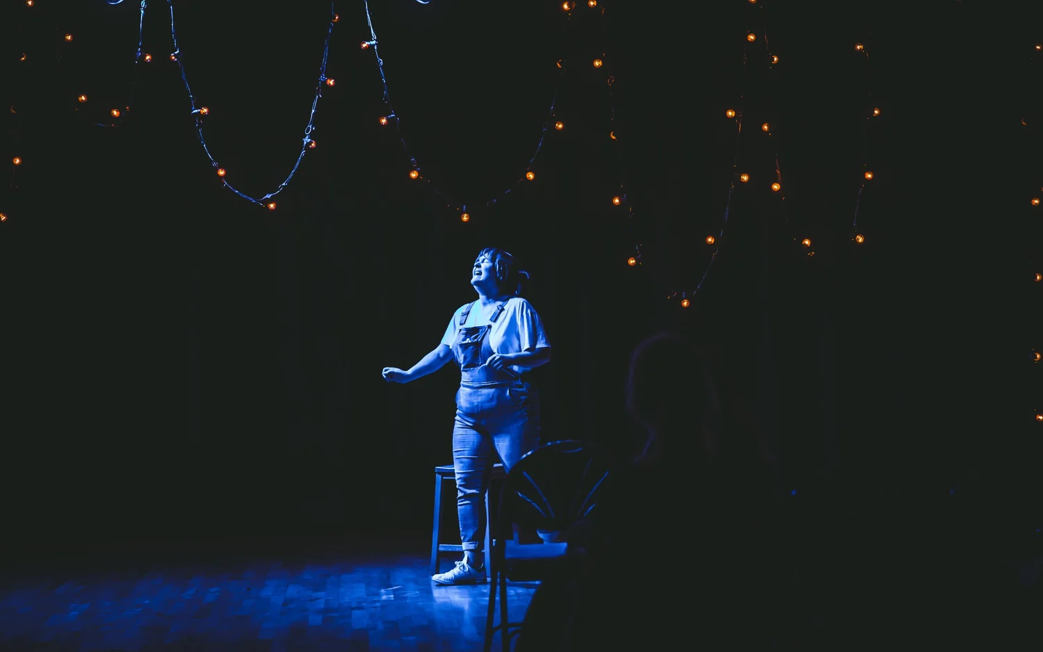 Director — Júlia Levai