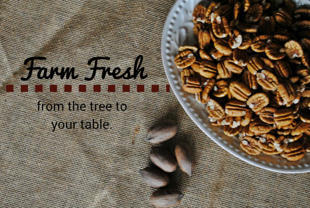 Miller Pecan Co. - Farm Fresh Wholesale and Retail Shelled Oklahoma Pecans