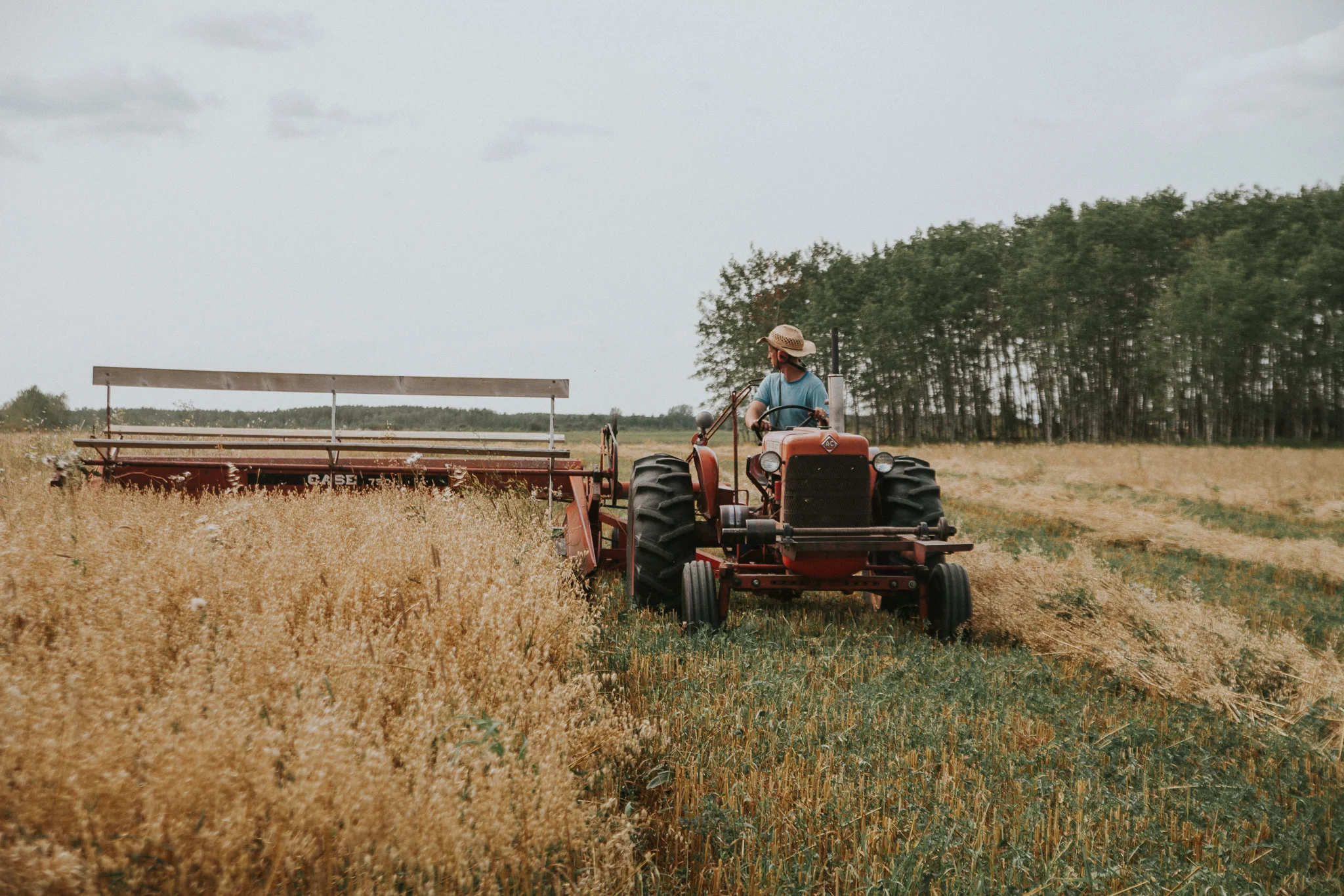 About regenerative sheep farm wool producer — Ferme Fiola Farm