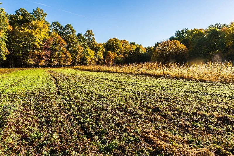 Conneaut Creek Outfitters