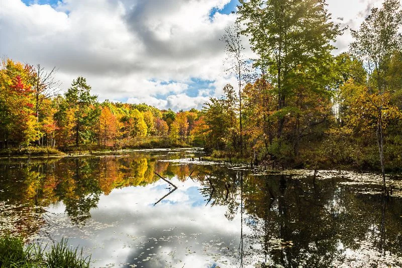 Conneaut Creek Outfitters