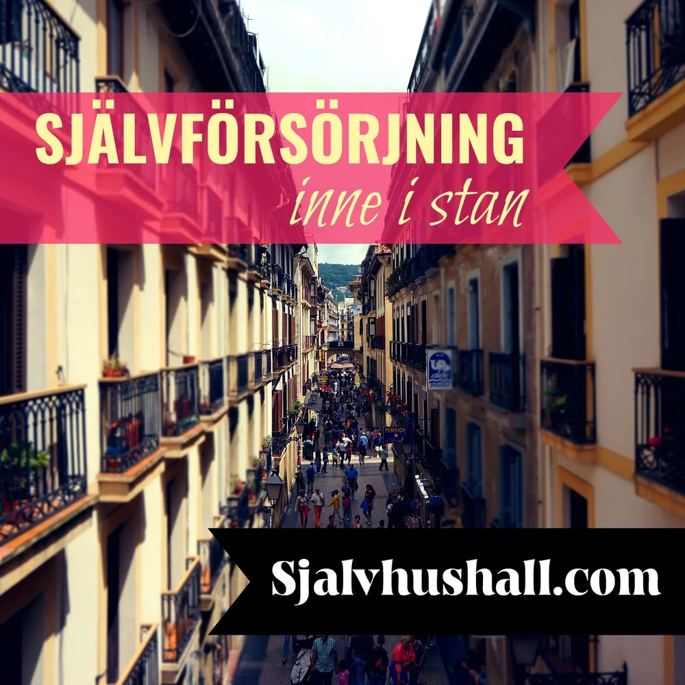 Självhushåll