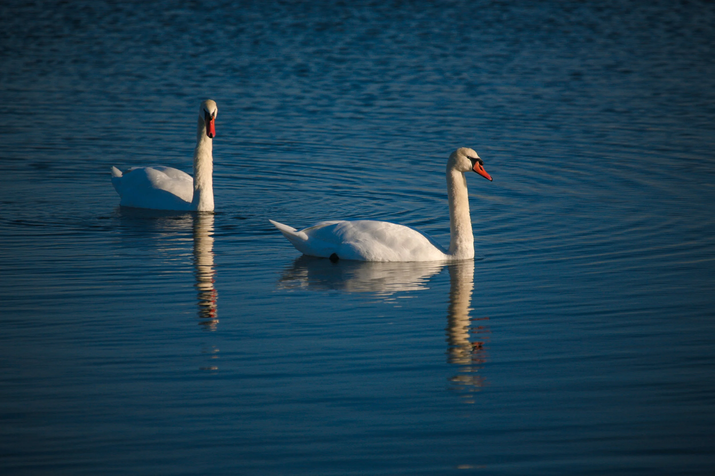 Photos by JOhn Photography