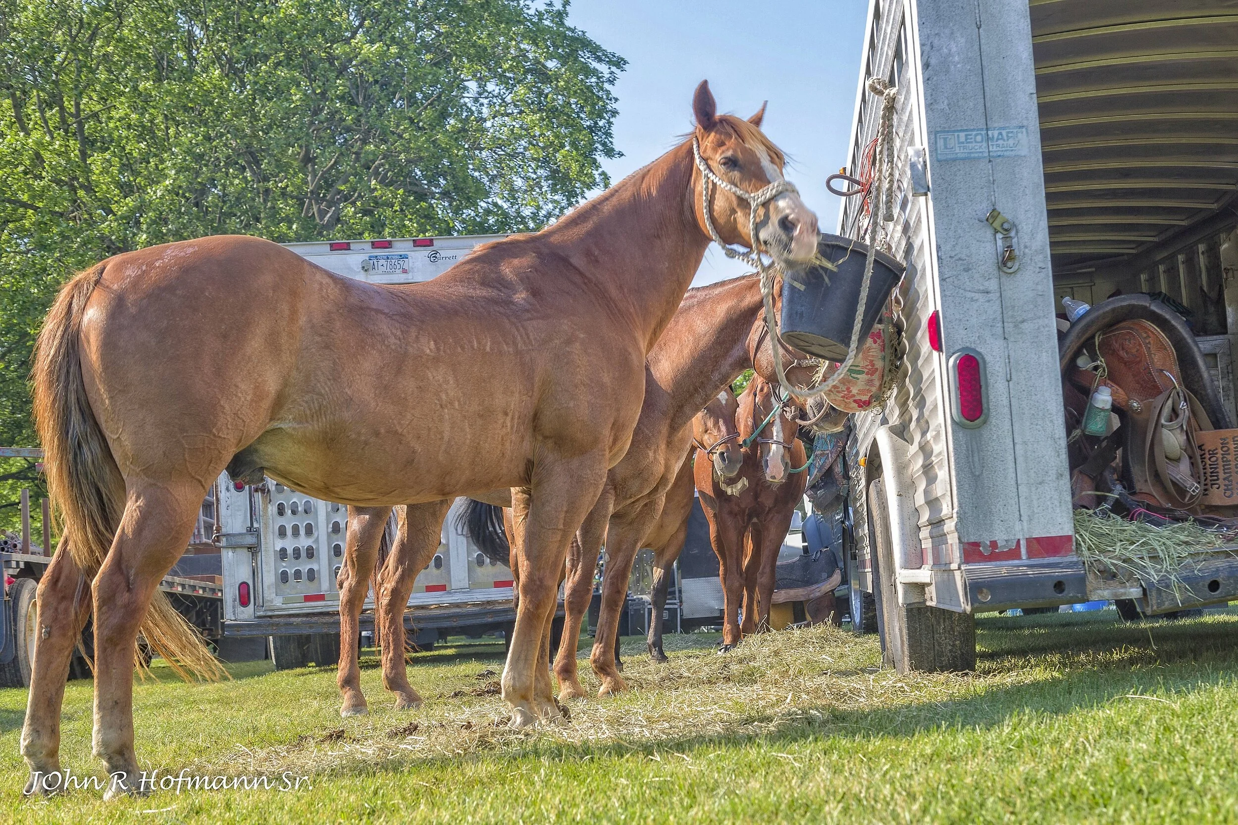 WILLOW BROOK PRO RODEO JUNE 2021 — Photos by JOhn Photography