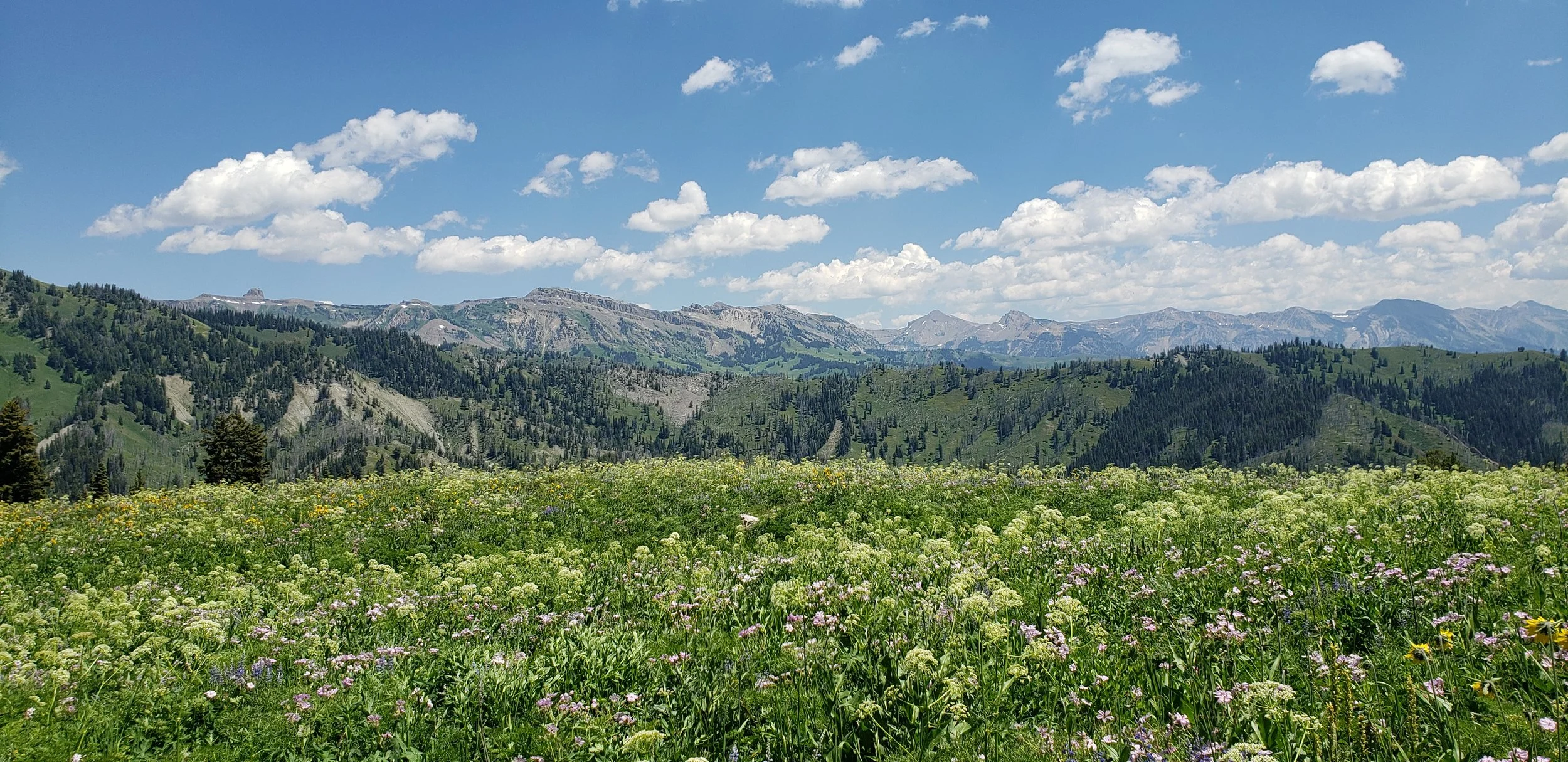 Sublette County Conservation District