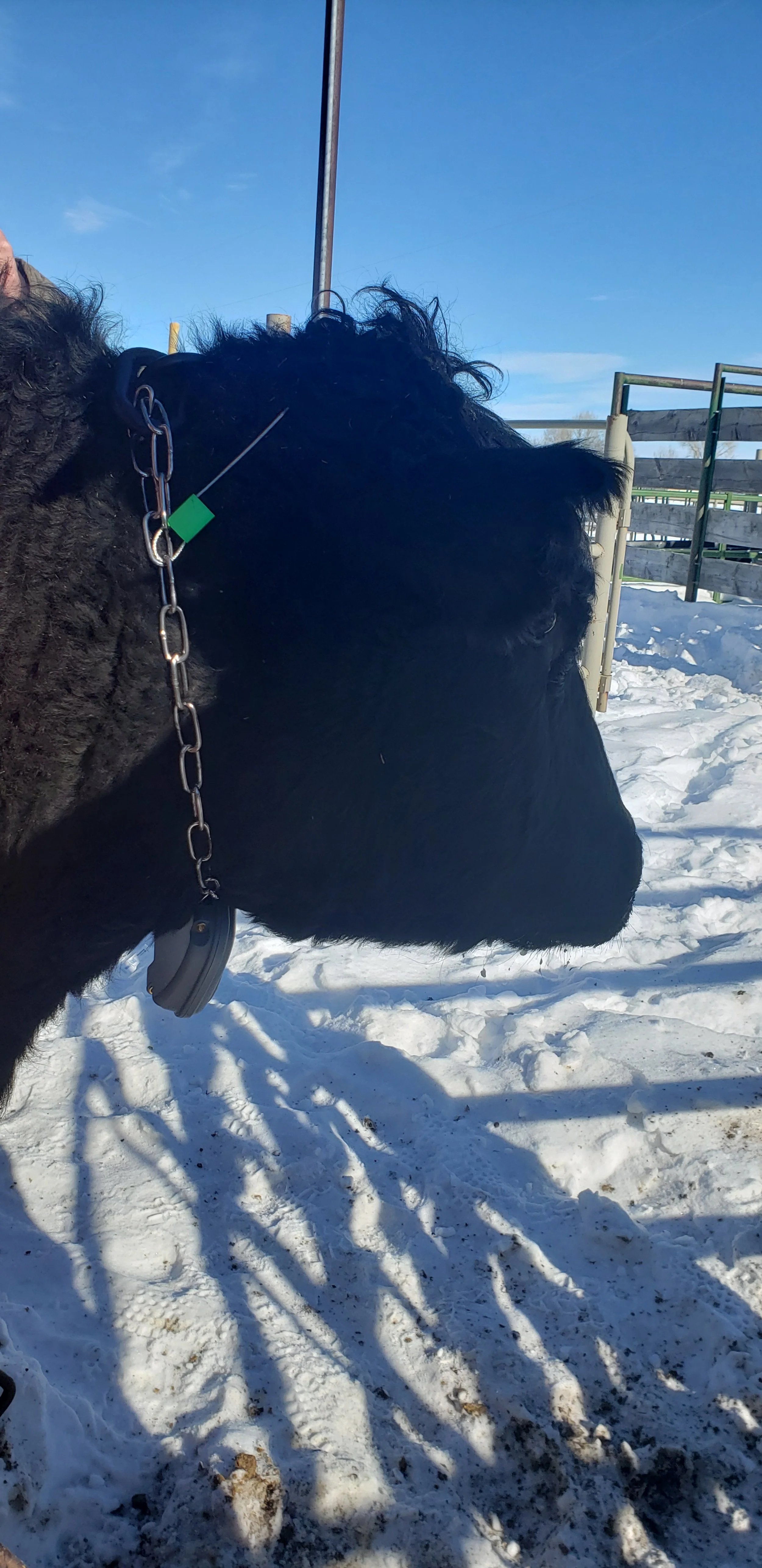 Sublette County Conservation District