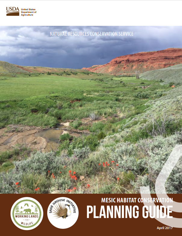 Low-Tech Restoration — Sublette County Conservation District