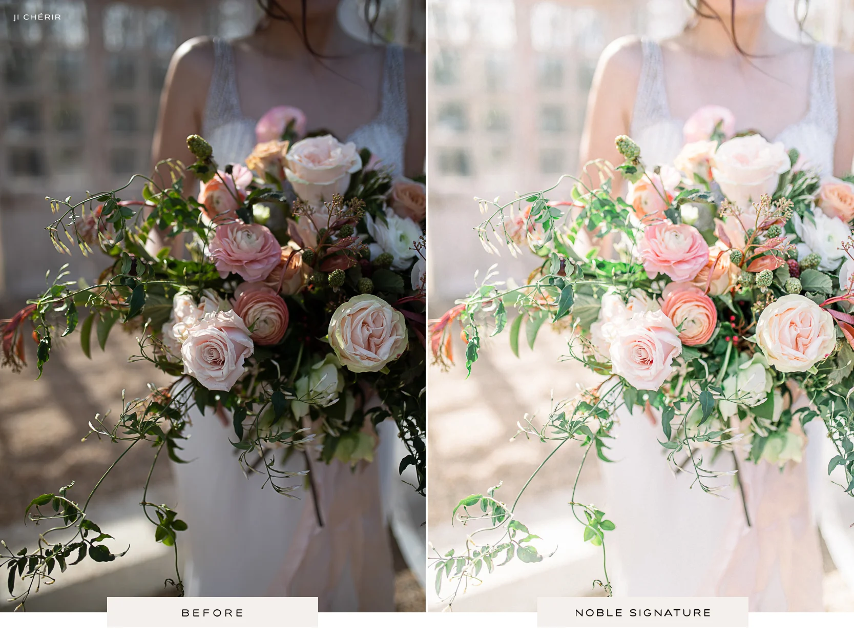 Noble Signature Preset — Noble Presets