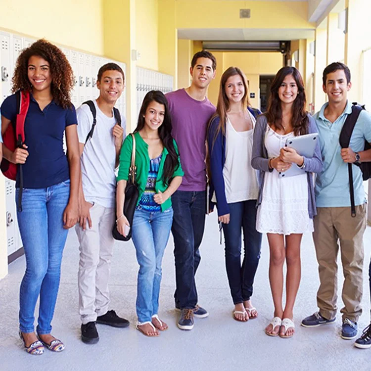 Wellness Circle Tutorials — Living Compass