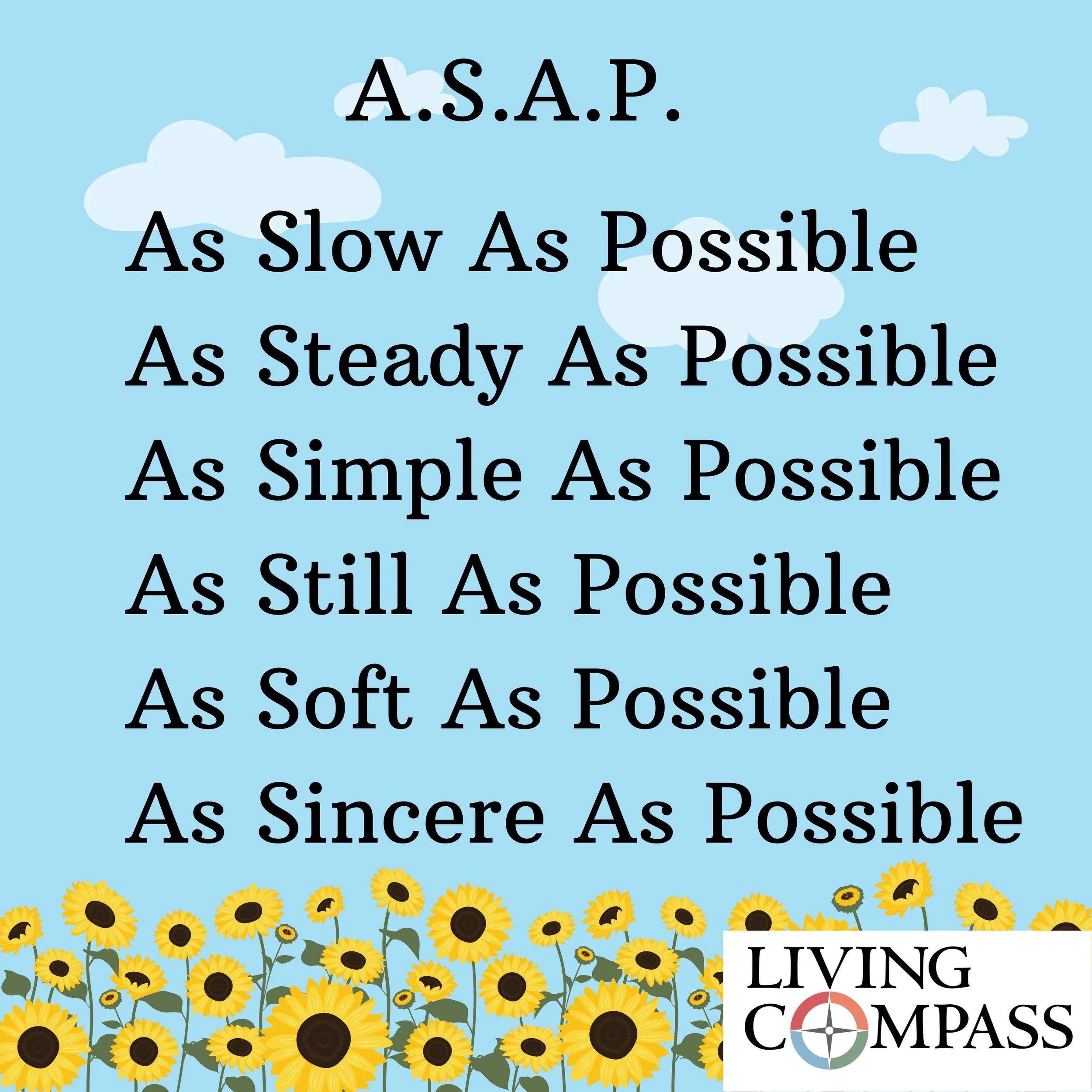 "Learning to Live and Drive ASAP, As Slow As Possible," May 27 2025 ...