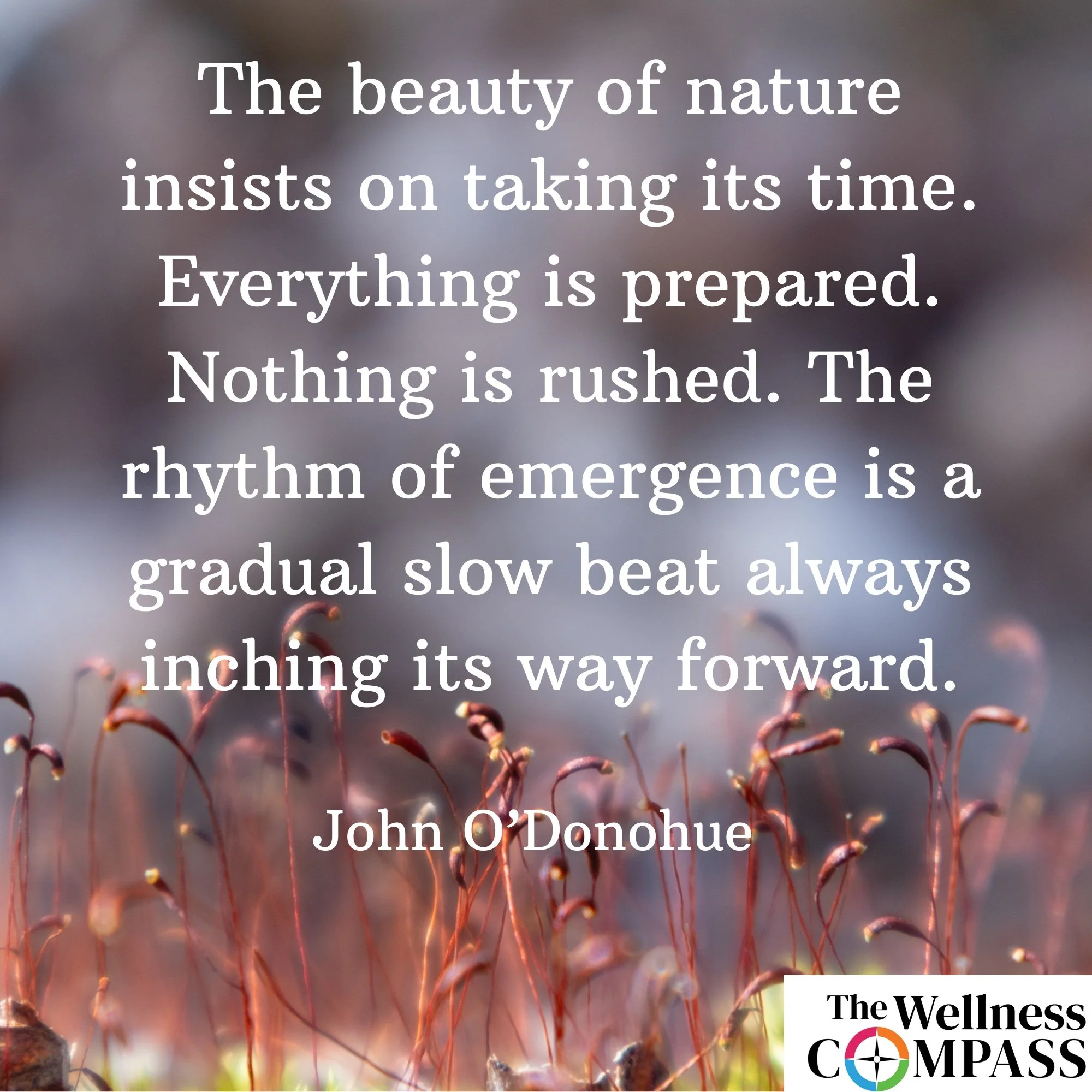 Weekly Column — Living Compass