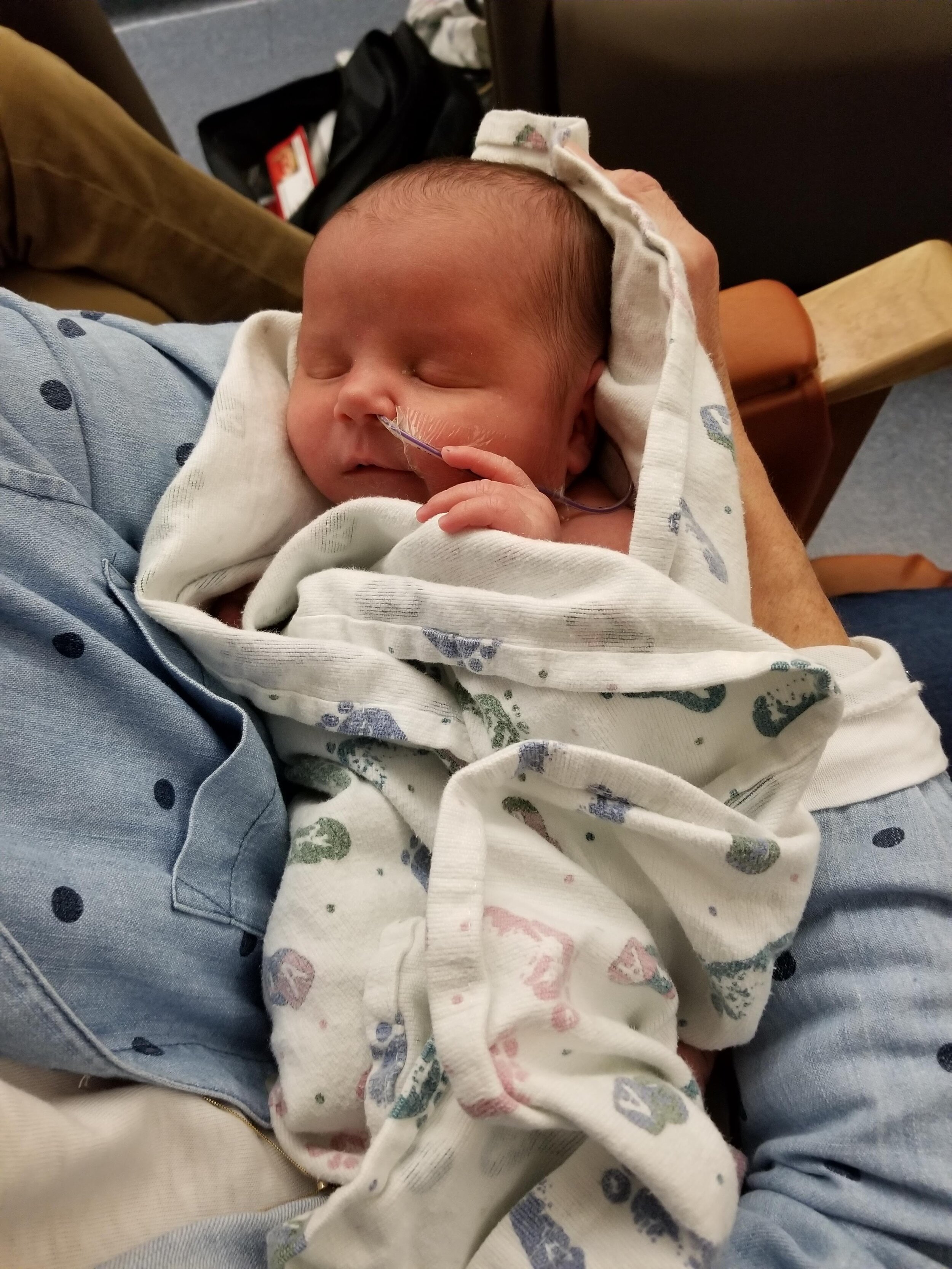 Milk + Honey — Sarah's Triple Feeding Journey