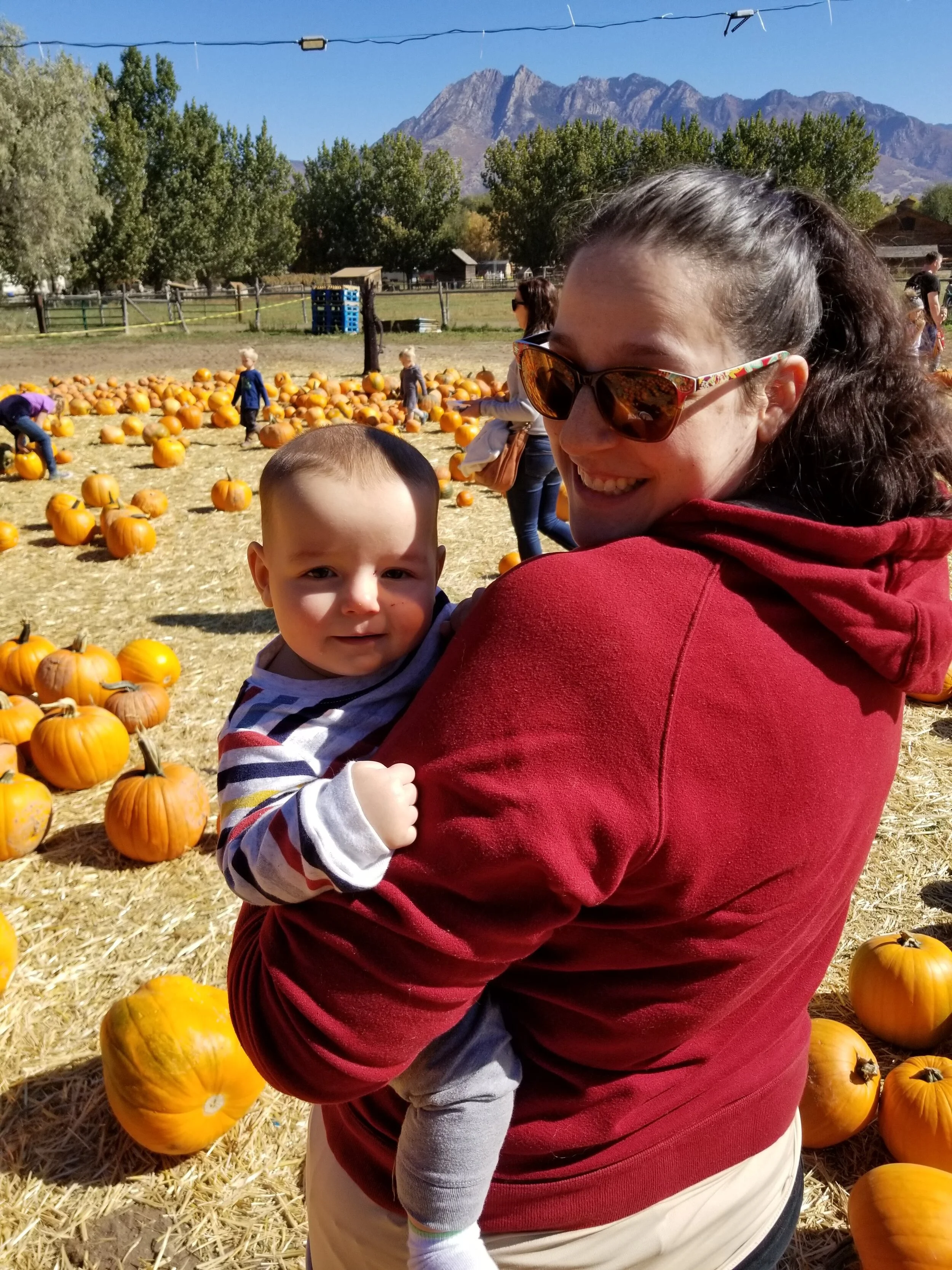 Milk + Honey — Sarah's Triple Feeding Journey