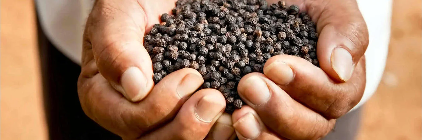 Kampot Pepper — Spice Oddity