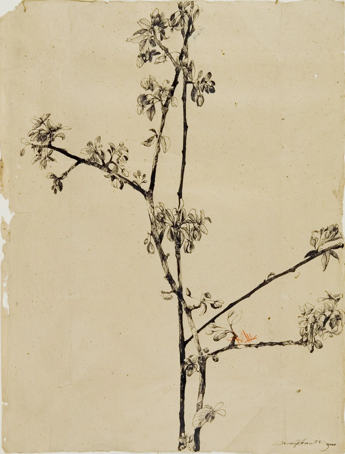 Archives 2003- 10 — Sarah Horowitz