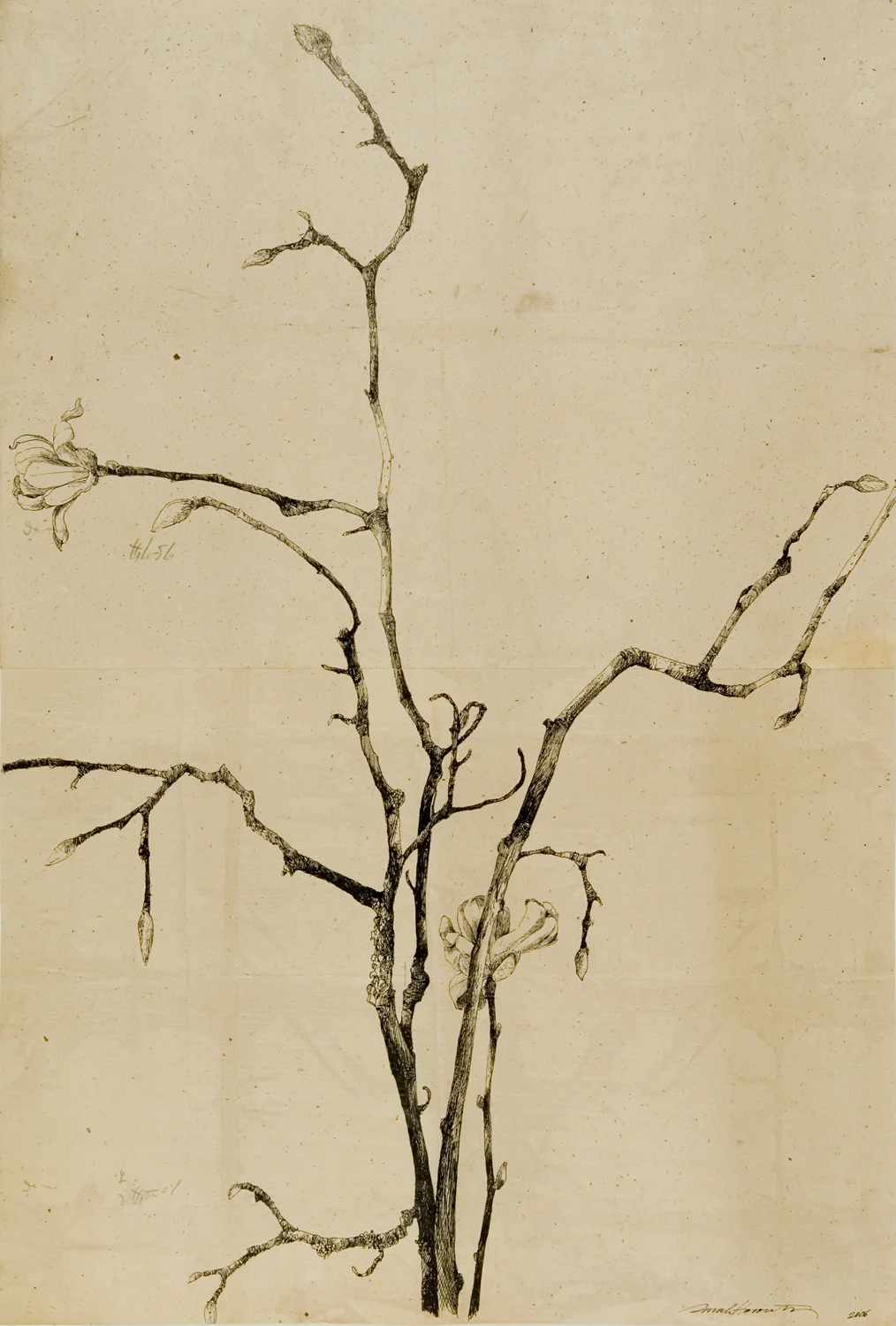 Archives 2003- 10 — Sarah Horowitz