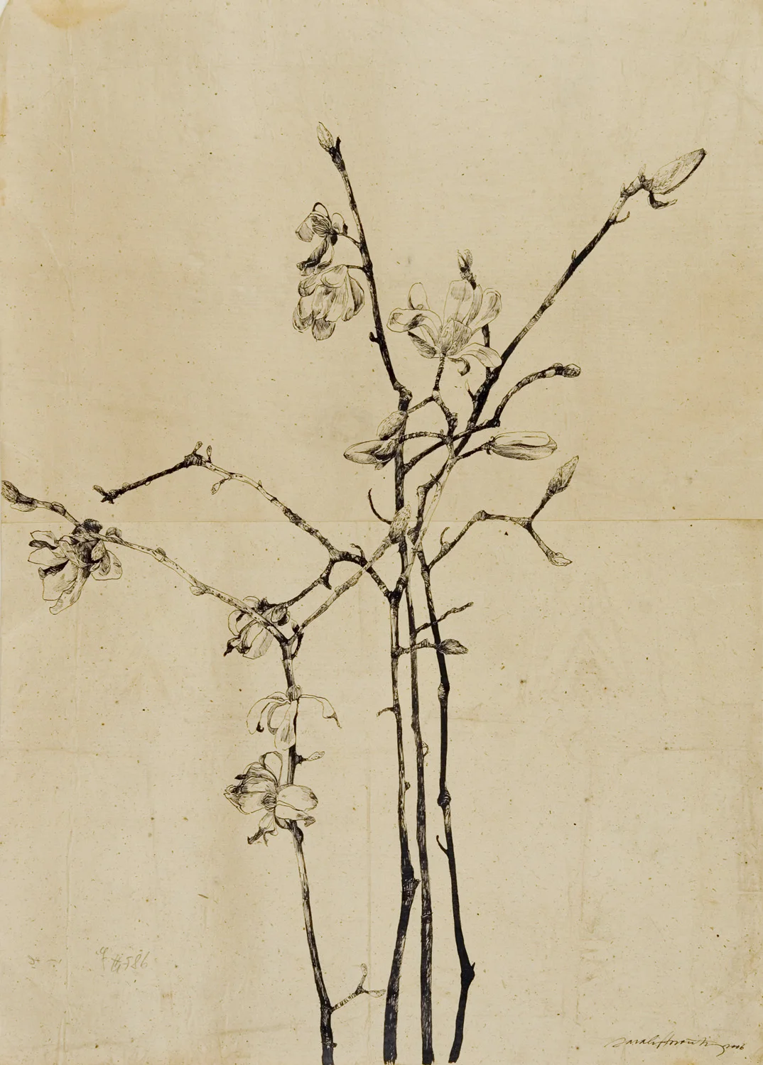 Archives 2003- 10 — Sarah Horowitz