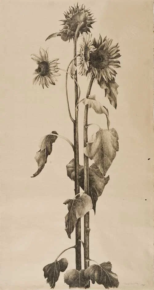 Archives 2003- 10 — Sarah Horowitz