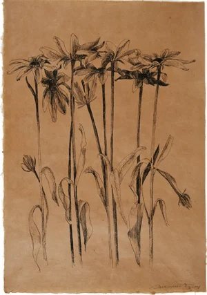 Archives 2003- 10 — Sarah Horowitz