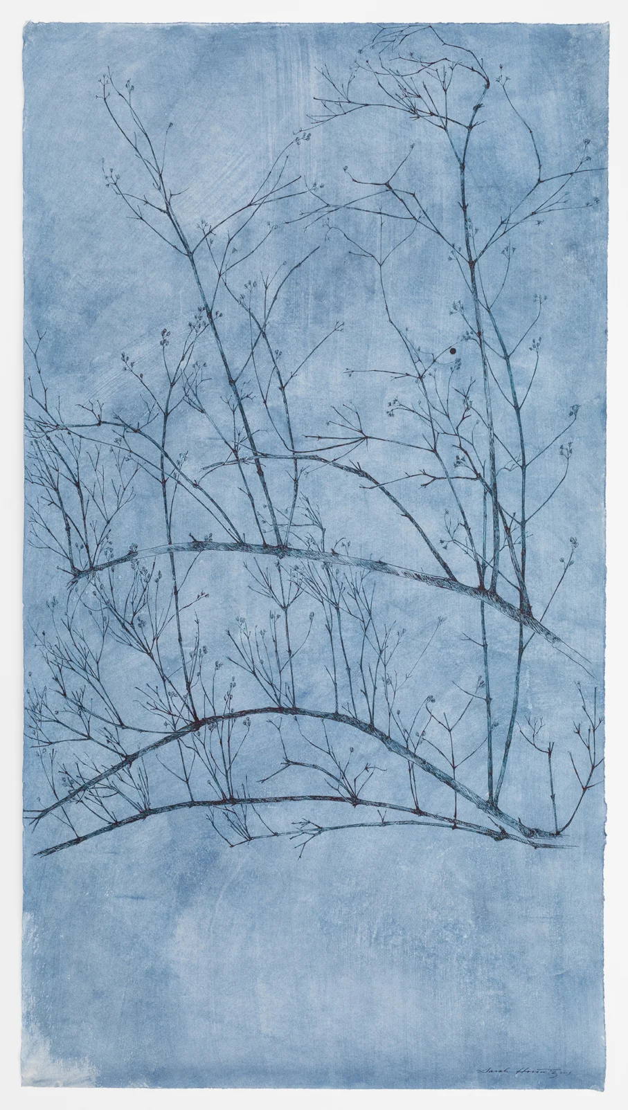 Surface Tension — Sarah Horowitz