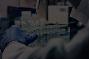 Clinical — Synergy Laboratories