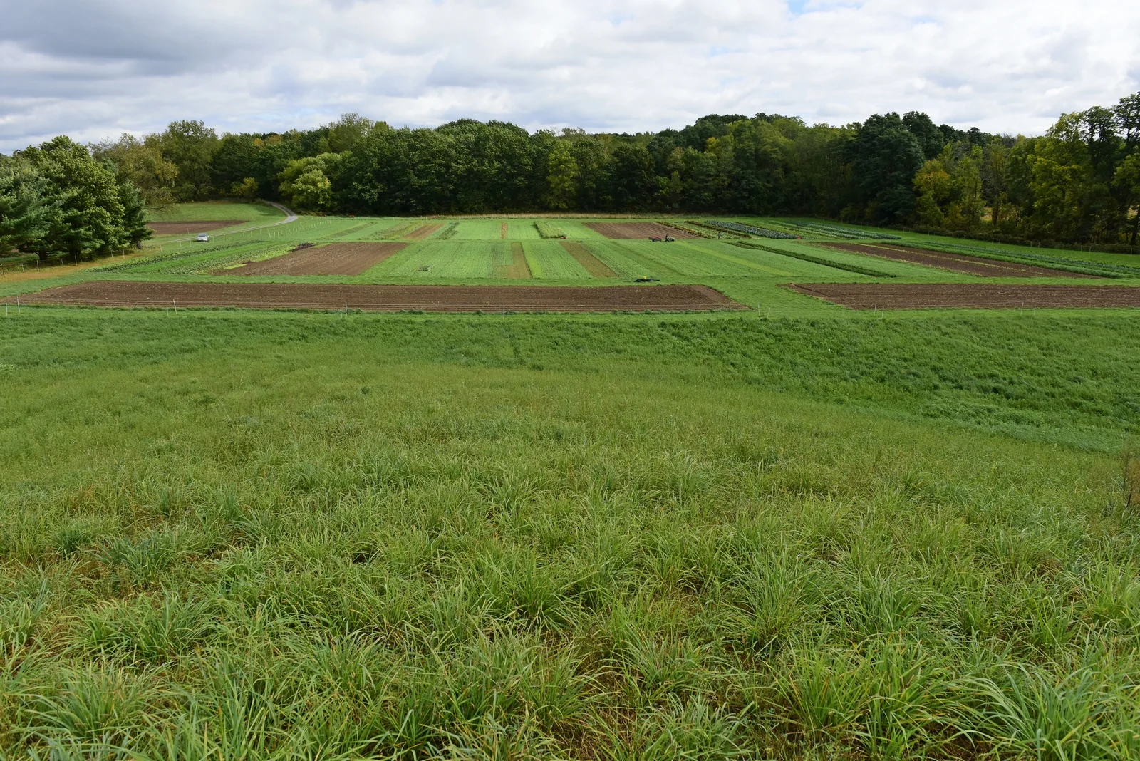 Conservation easement — Genesee Land Trust