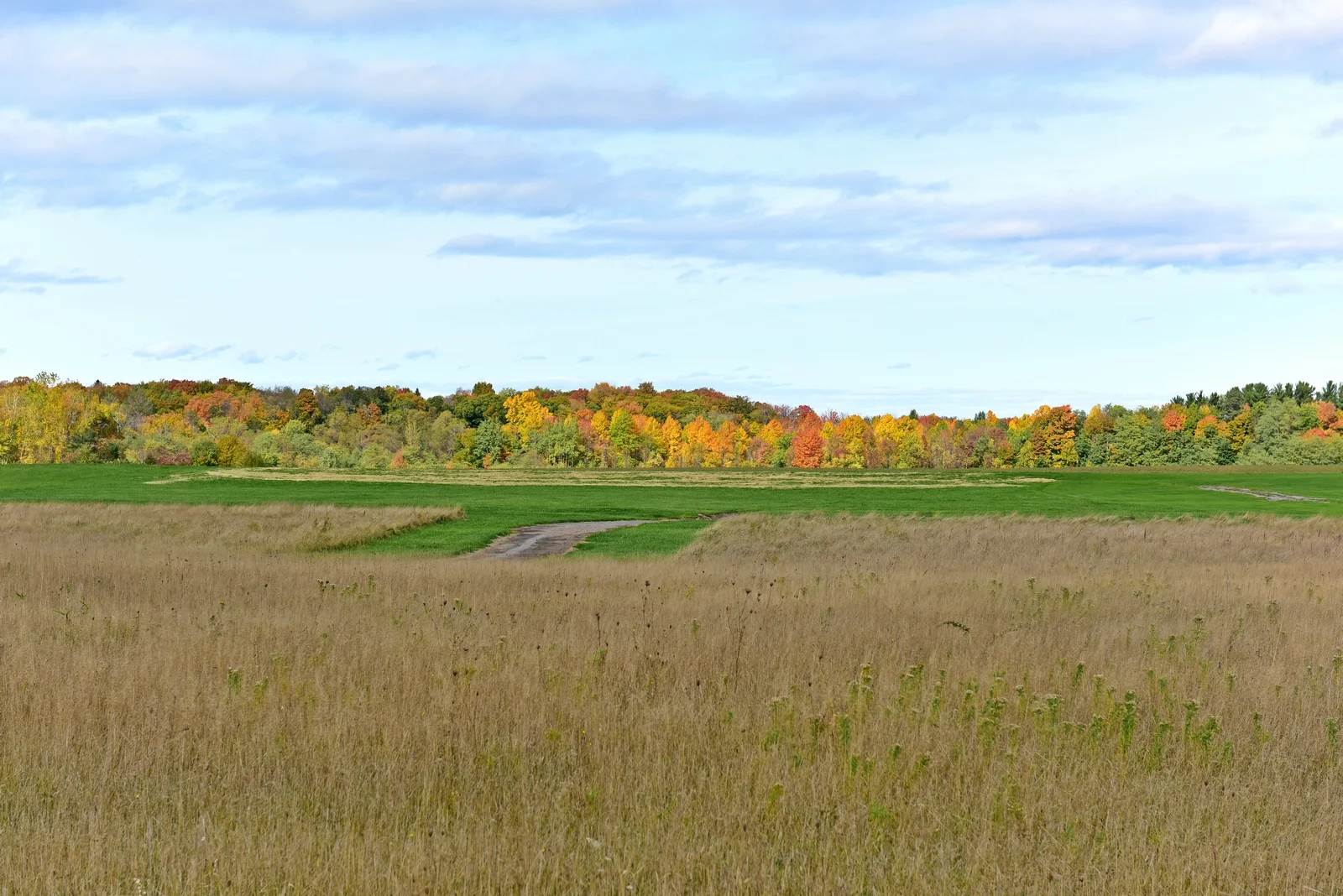 Conservation Easements — Genesee Land Trust