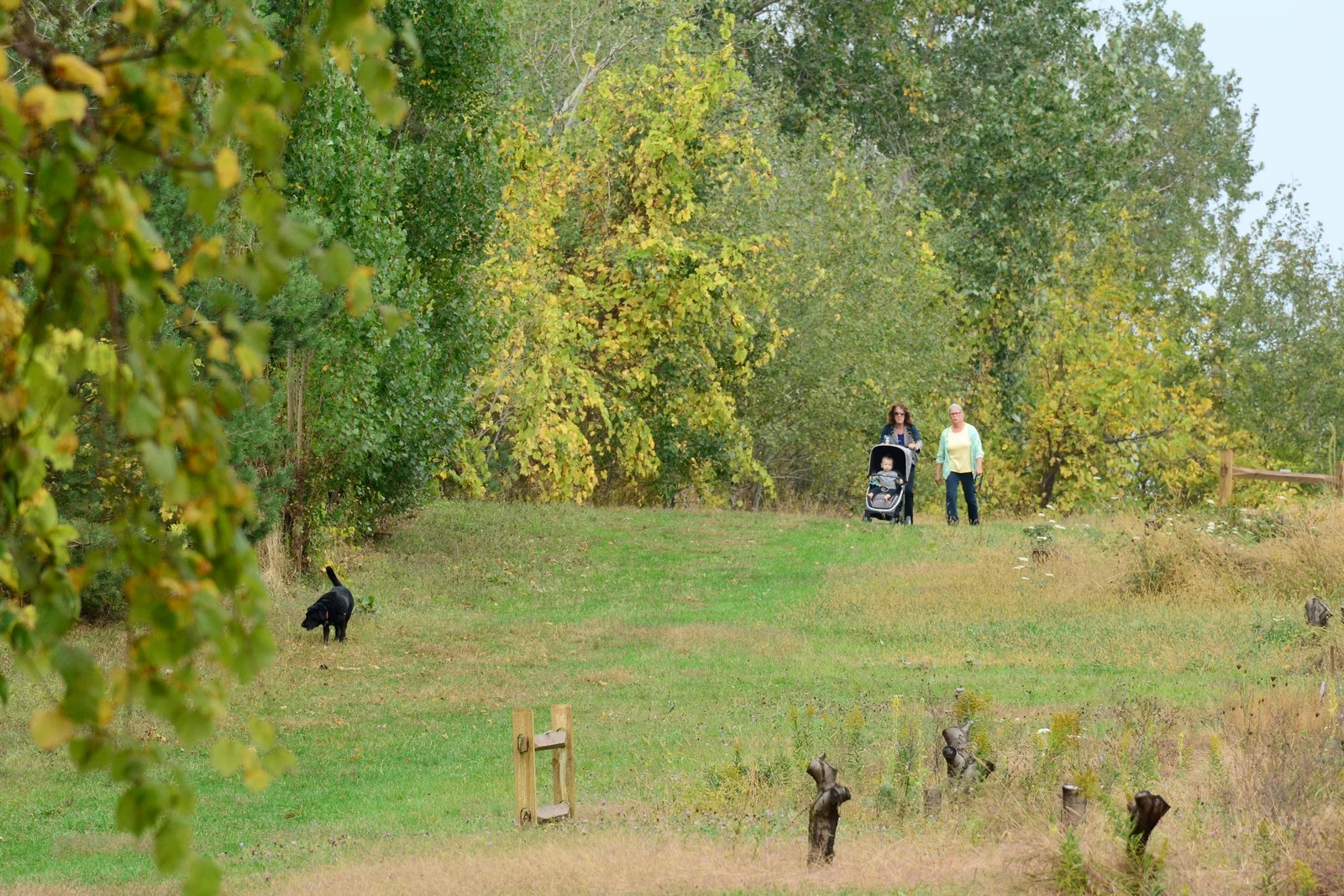 Cornwall Preserve — Genesee Land Trust
