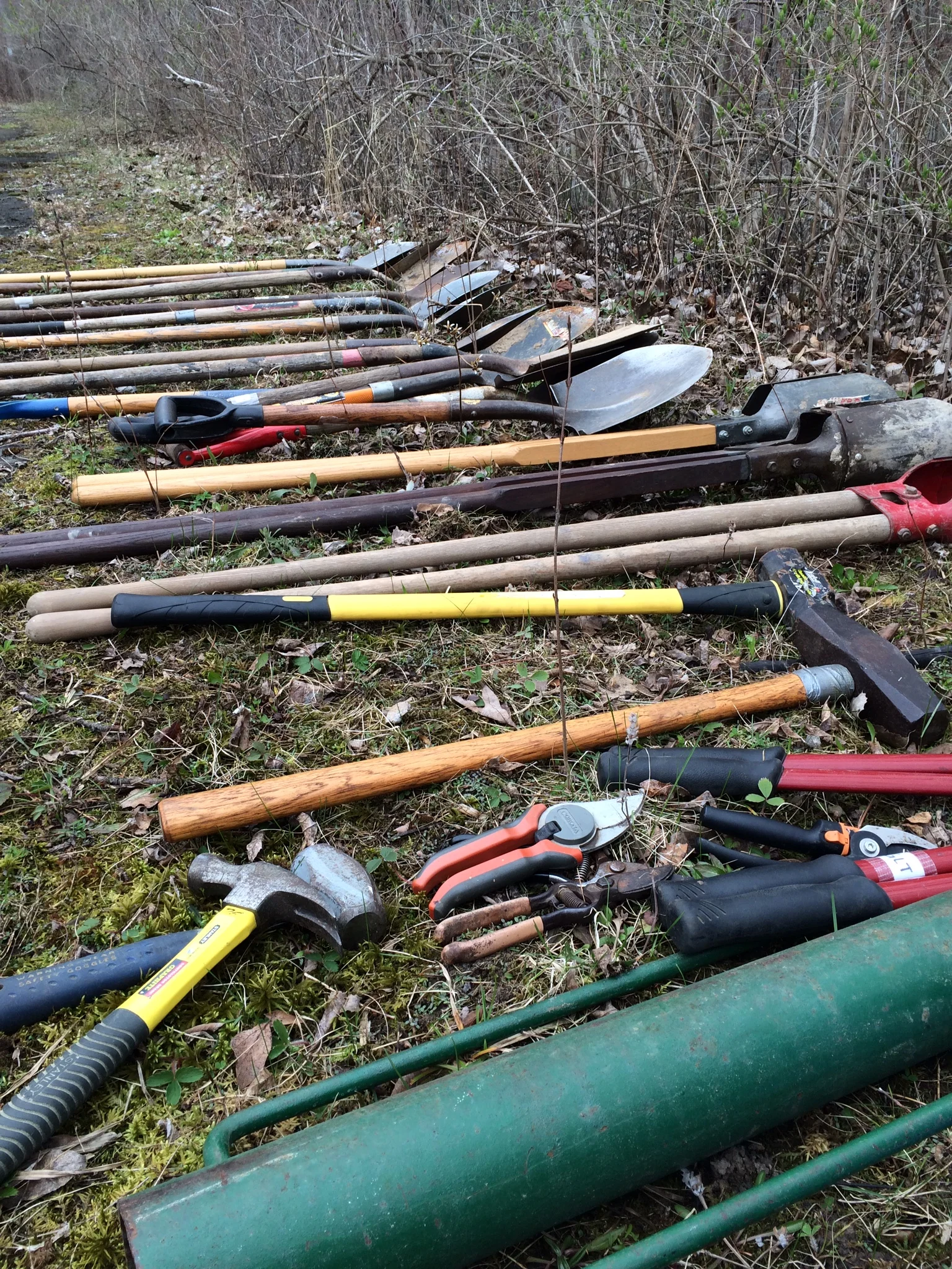 Volunteer — Genesee Land Trust
