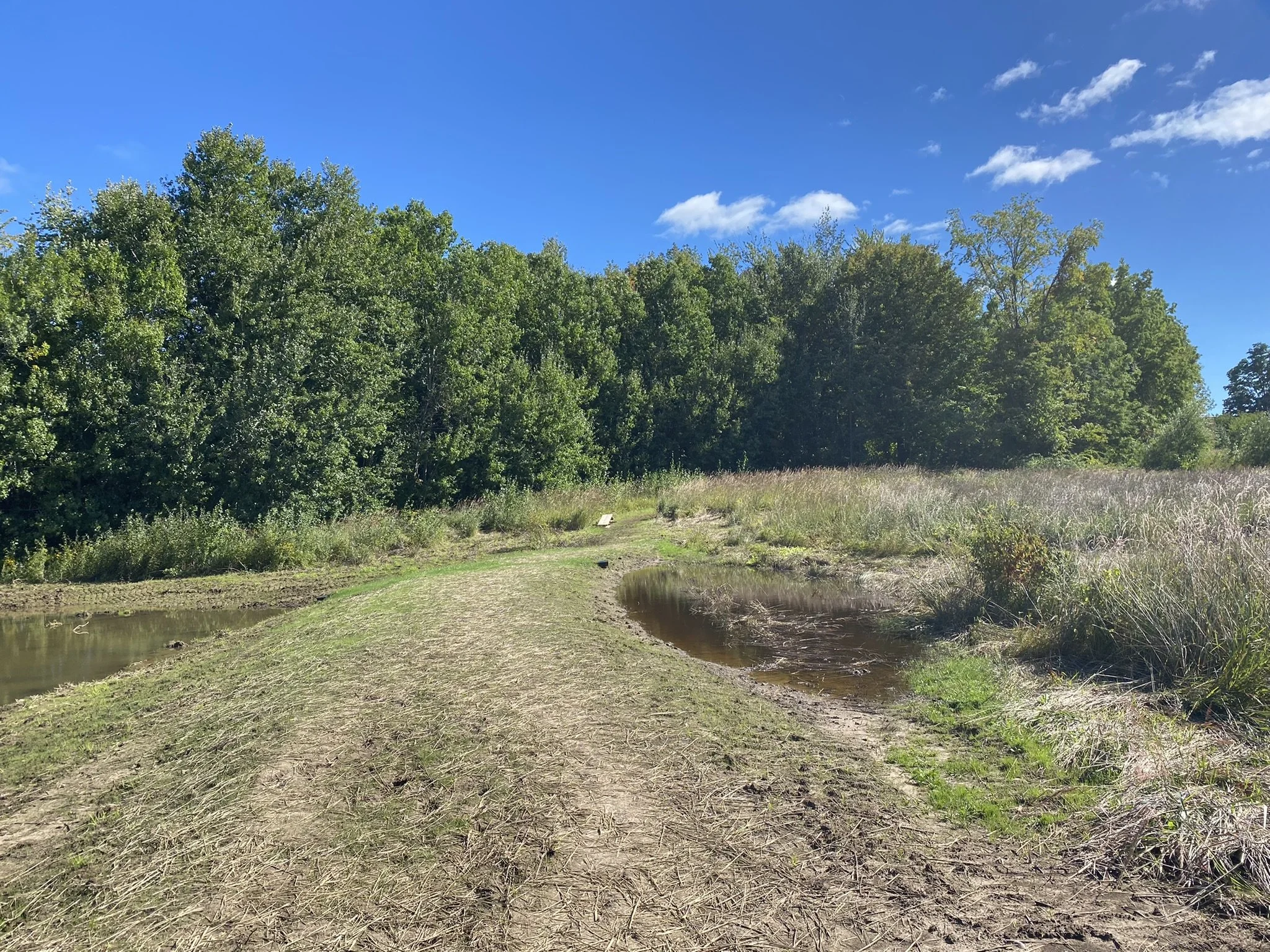 Habitat Improvement Now Underway — Genesee Land Trust
