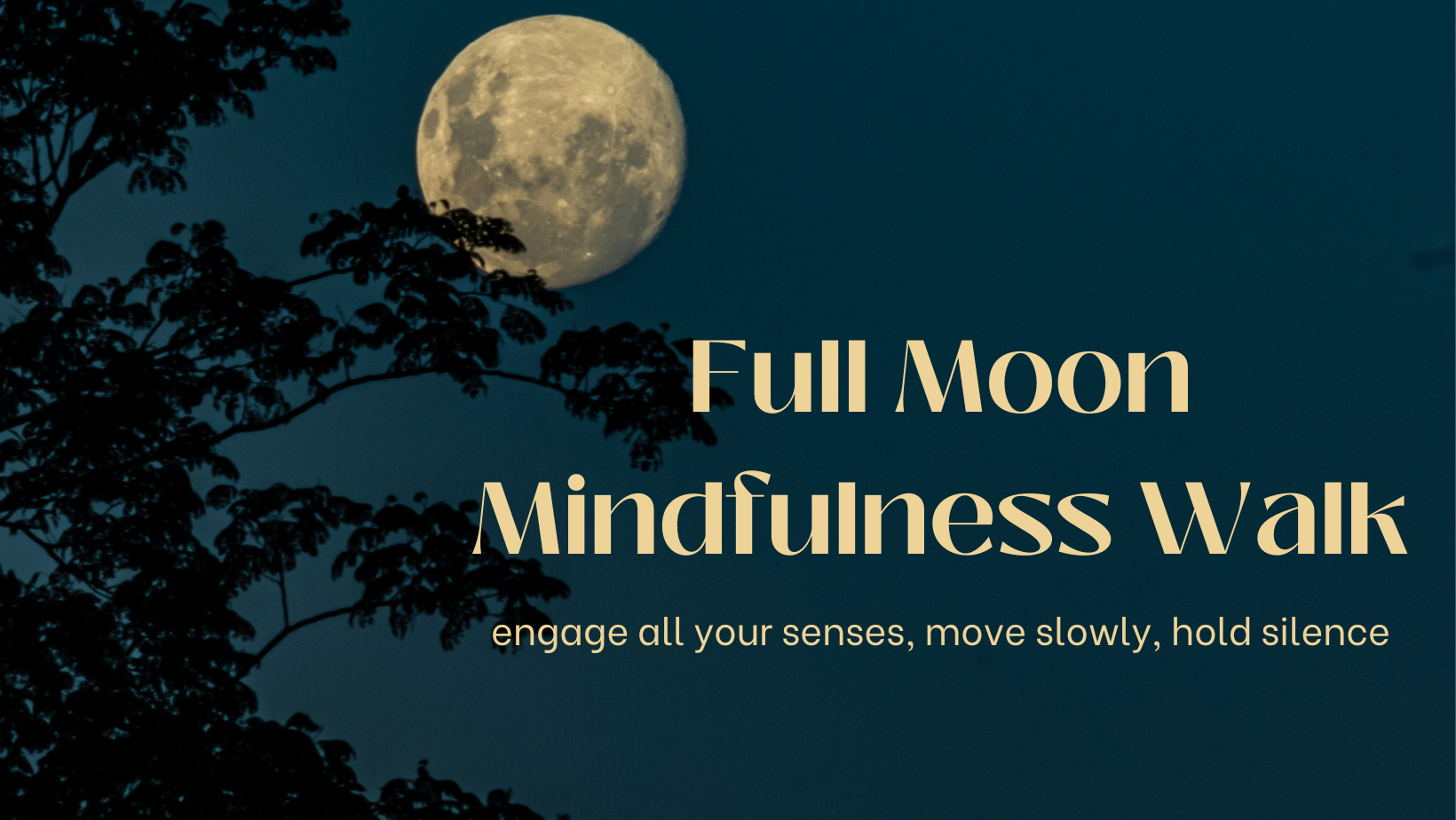 (FULL) Full Moon Mindfulness Walk + Rest — Genesee Land Trust