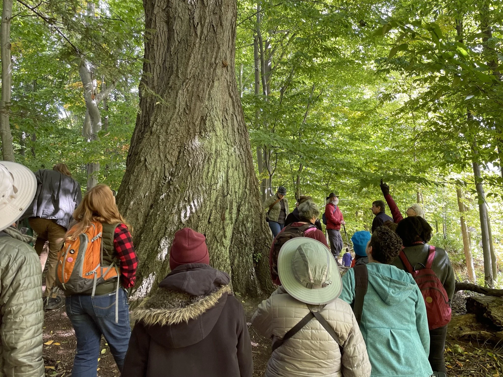 Upcoming Events — Genesee Land Trust