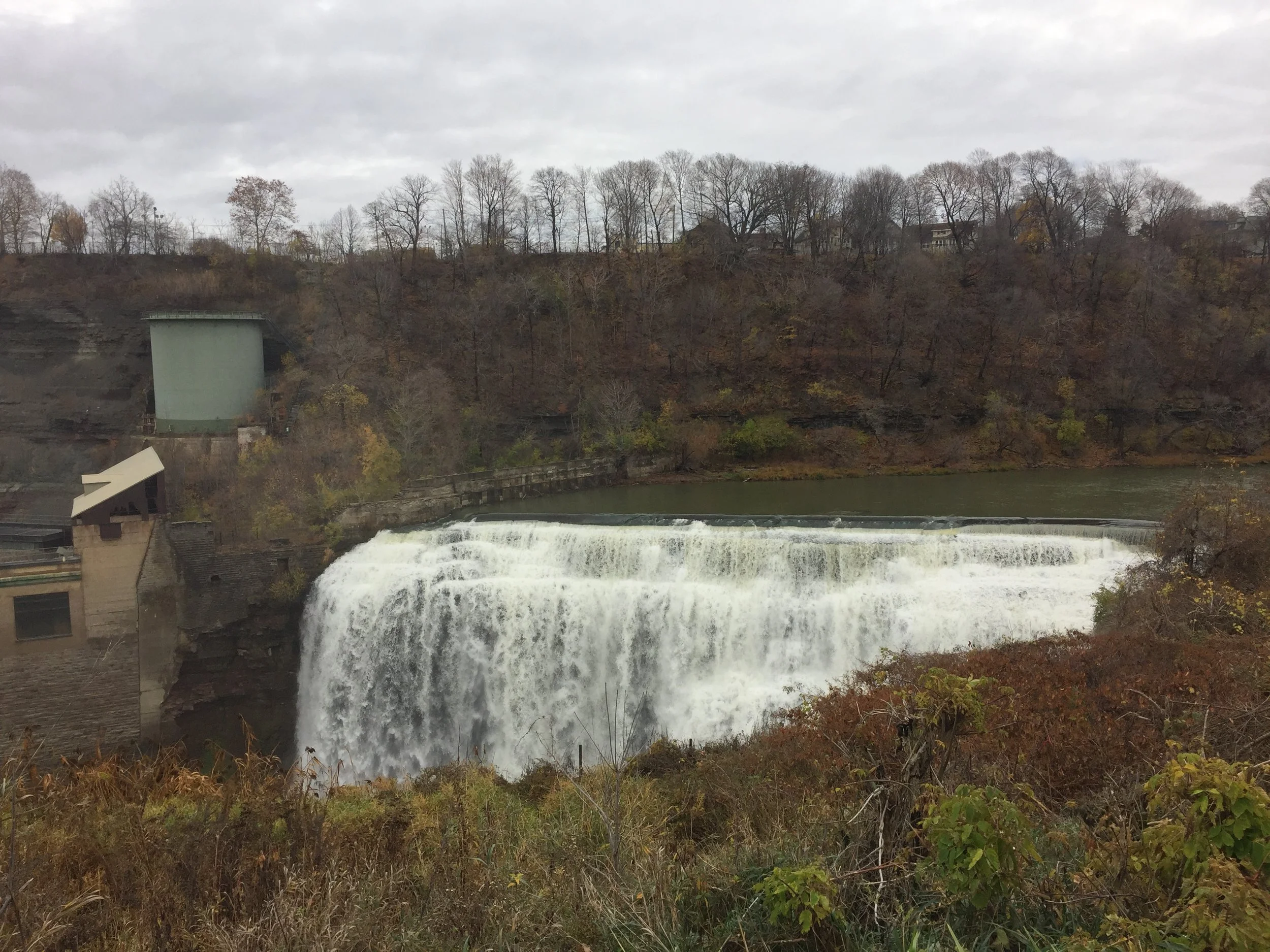 Genesee River Alliance — Genesee Land Trust