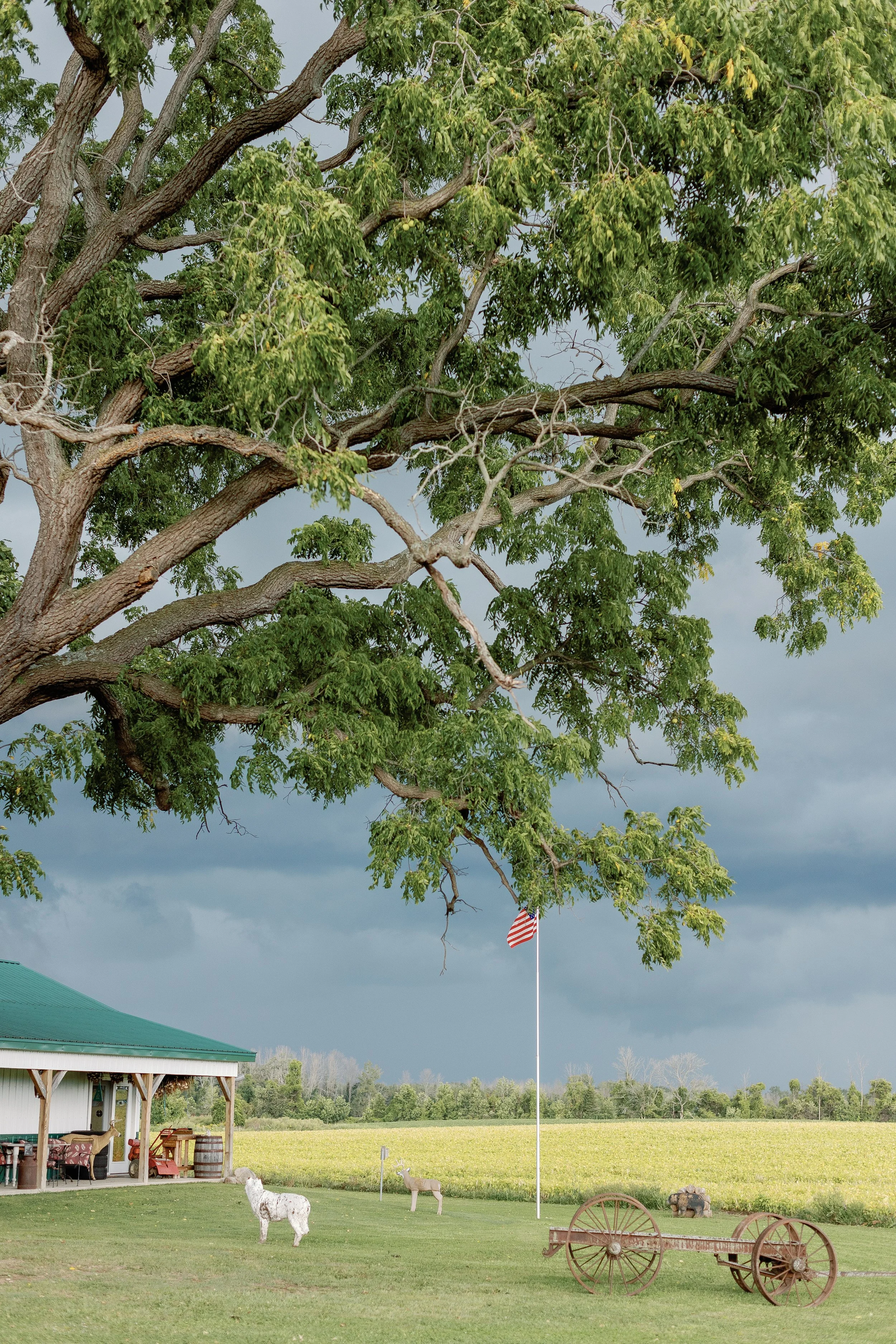 De Meyer Farm Project — Genesee Land Trust