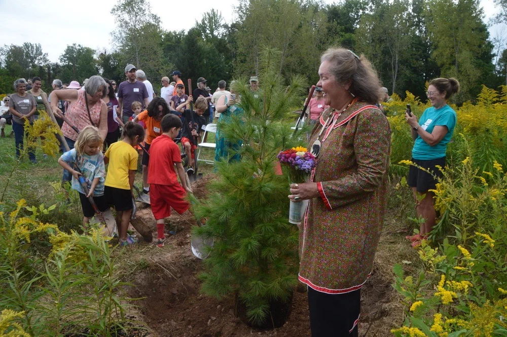 Haudenosaunee Ceremonial Planting of the White Pine Tree of Peace at ...