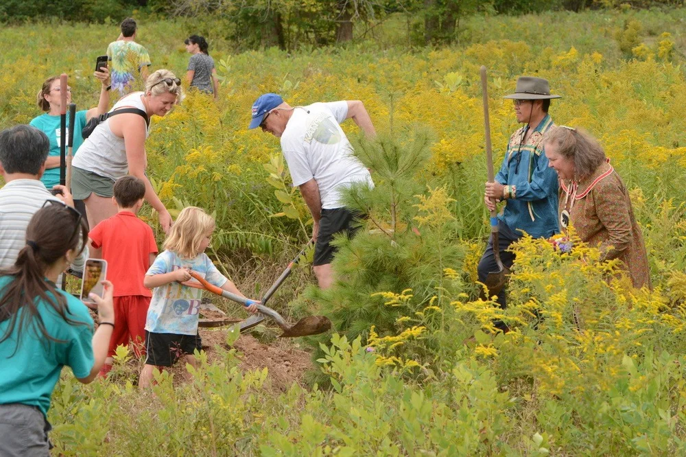 Haudenosaunee Ceremonial Planting of the White Pine Tree of Peace at ...