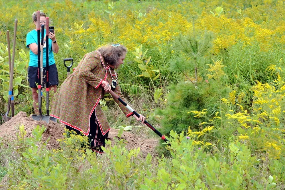 Haudenosaunee Ceremonial Planting of the White Pine Tree of Peace at ...