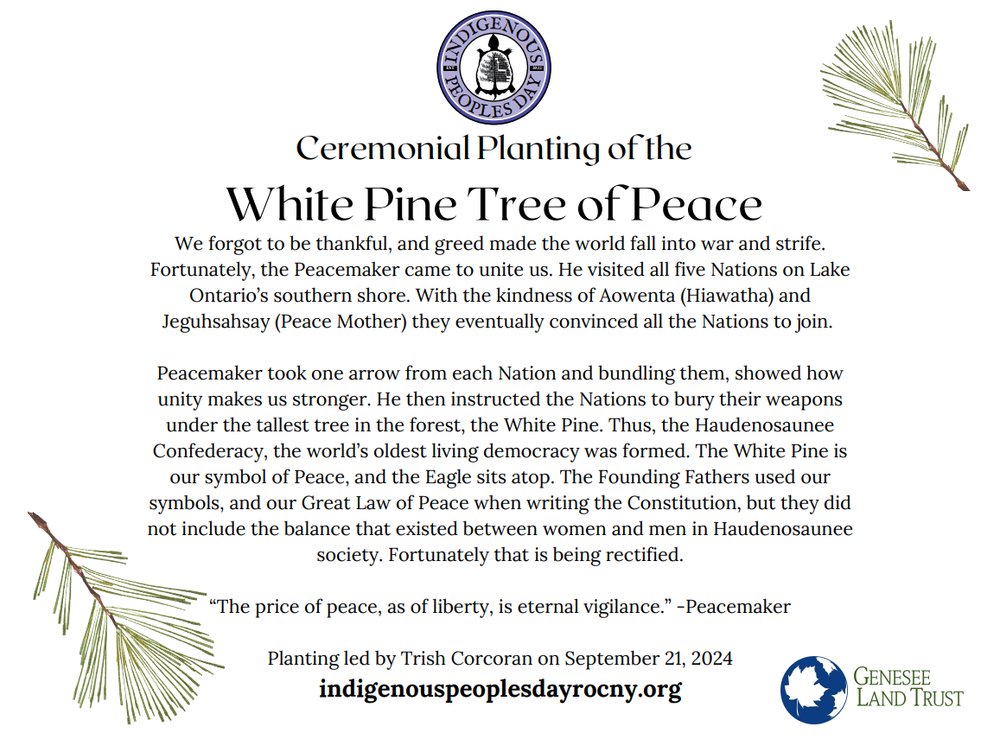 Haudenosaunee Ceremonial Planting of the White Pine Tree of Peace at ...