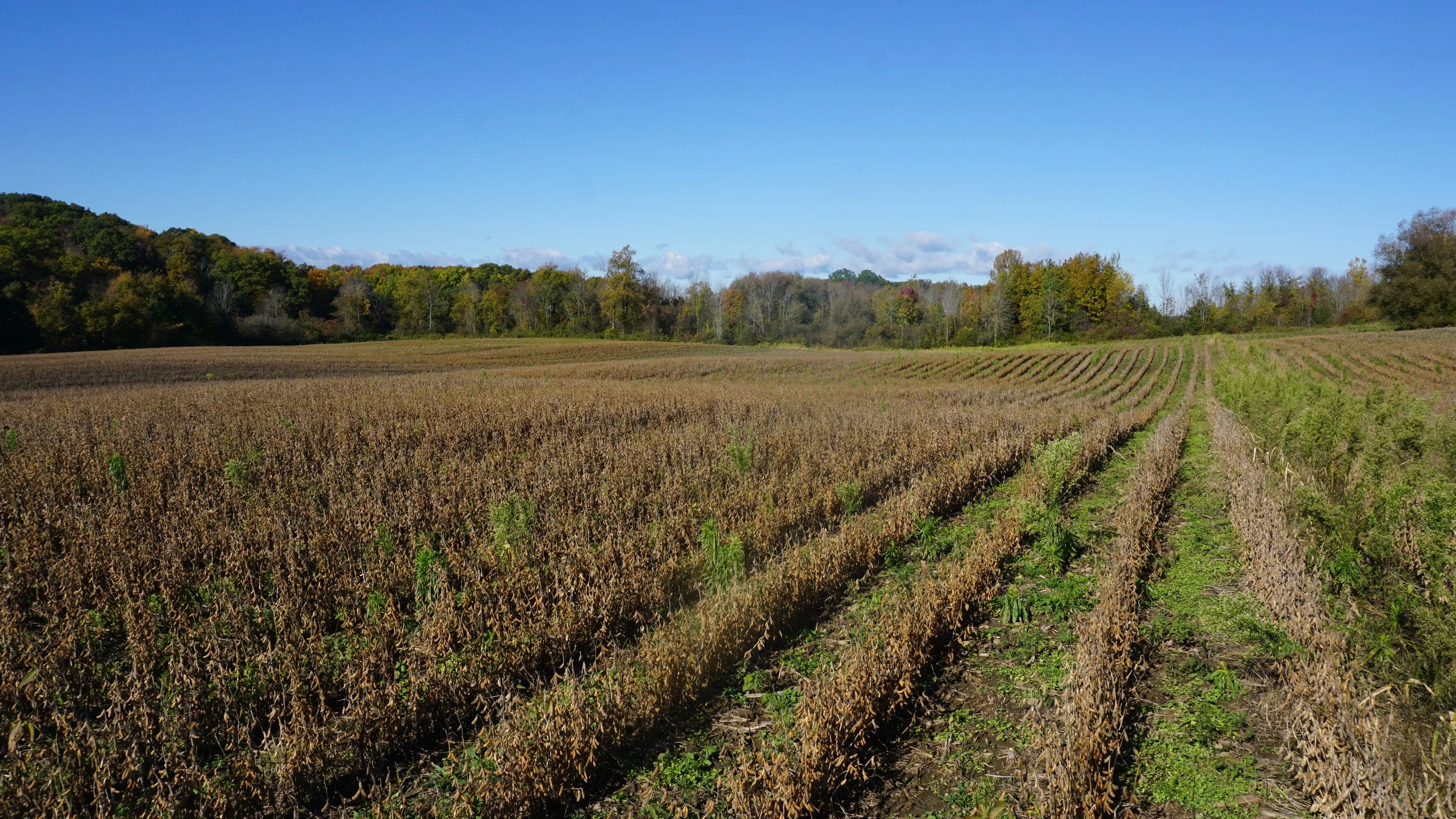Woodworth Farm — Genesee Land Trust