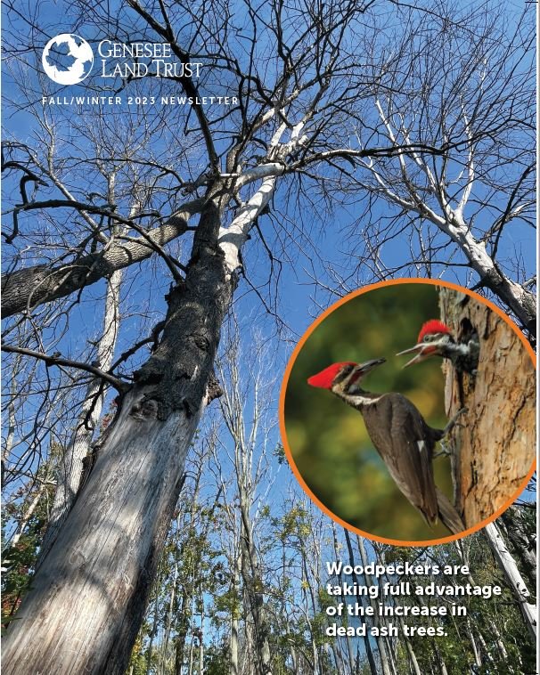 News — Genesee Land Trust