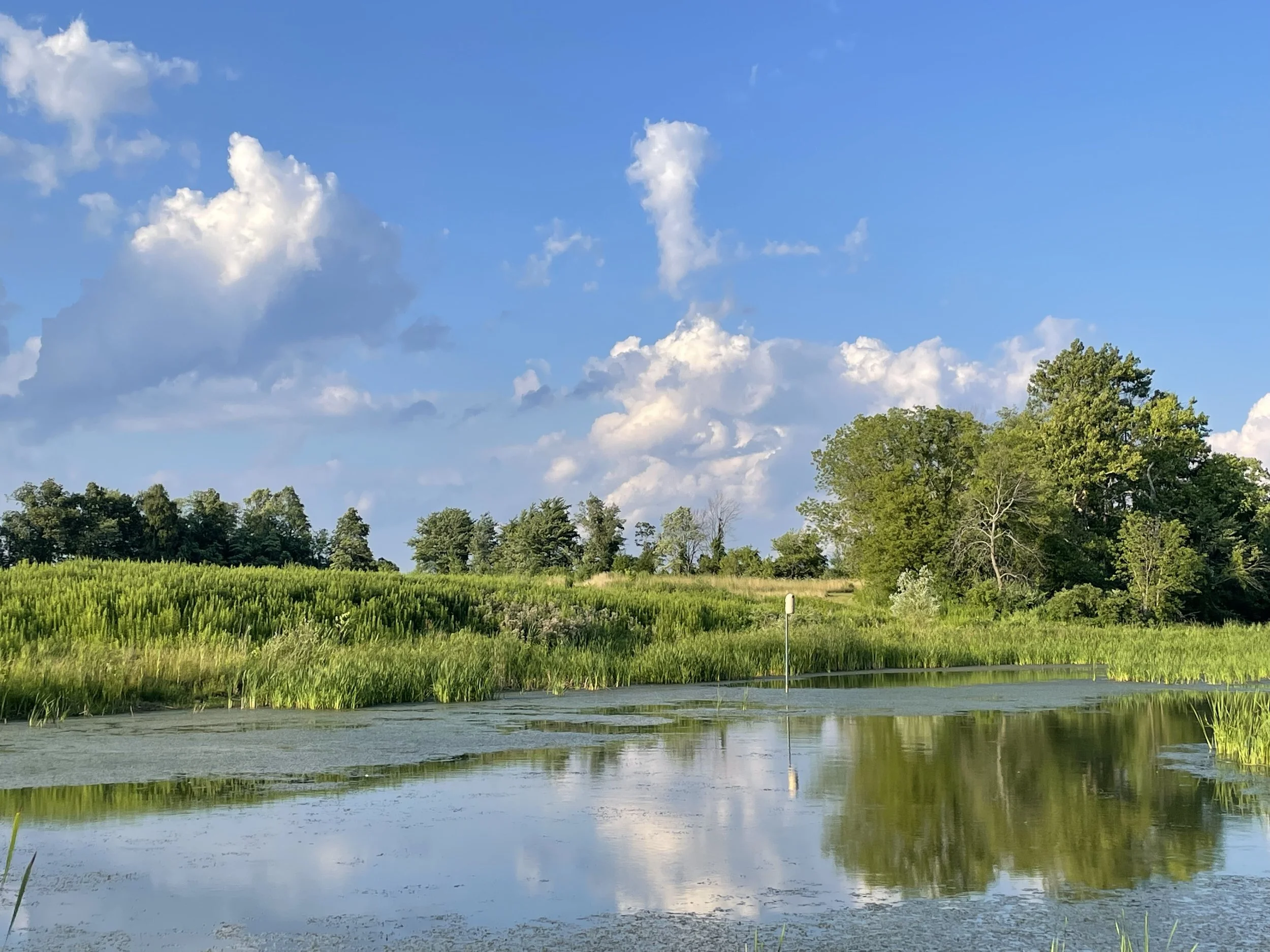 Explore — Genesee Land Trust